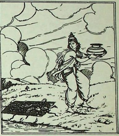 Importance of kusha (कुशा का महत्त्व) - Dharmawiki