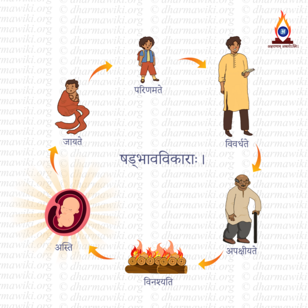 Sharira Traya (शरीरत्रयम्) - Dharmawiki